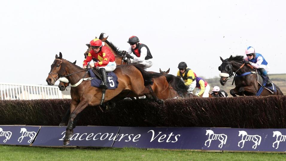 Horse Racing Tips: Rhys Williams fancies 50/1 Casting to spring a ... Horse Racing Tips: Rhys Williams fancies 50/1 Casting to spring a ...