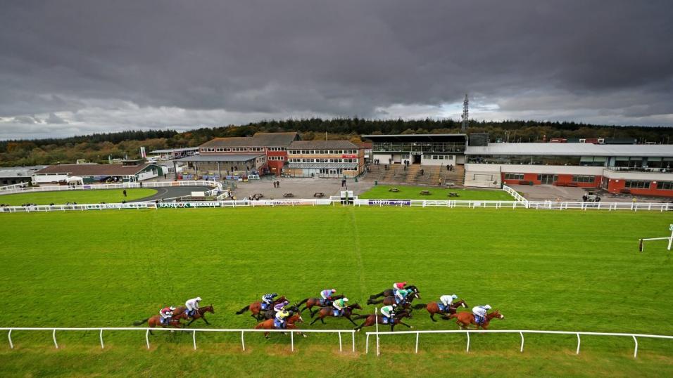 Horse Racing Tips: Rhys Williams fancies 90/1 ex-pointer on rules debut ...