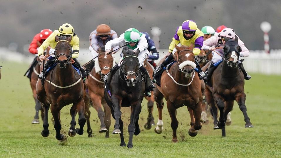 Saturday Racing Cheat Sheet: Best bets and insight