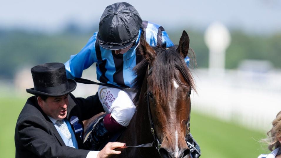 Alan Dudman's Big Race Verdict: Back Ponntos to cause a King George ...