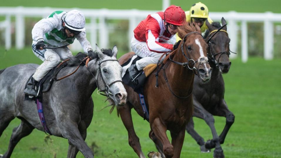 Daily Racing Multiple Tips: Berkshire can follow up with Fast Track ...