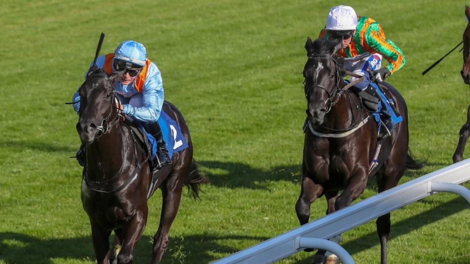 Big Winners on Betfair: Horse racing punter wins £4,700