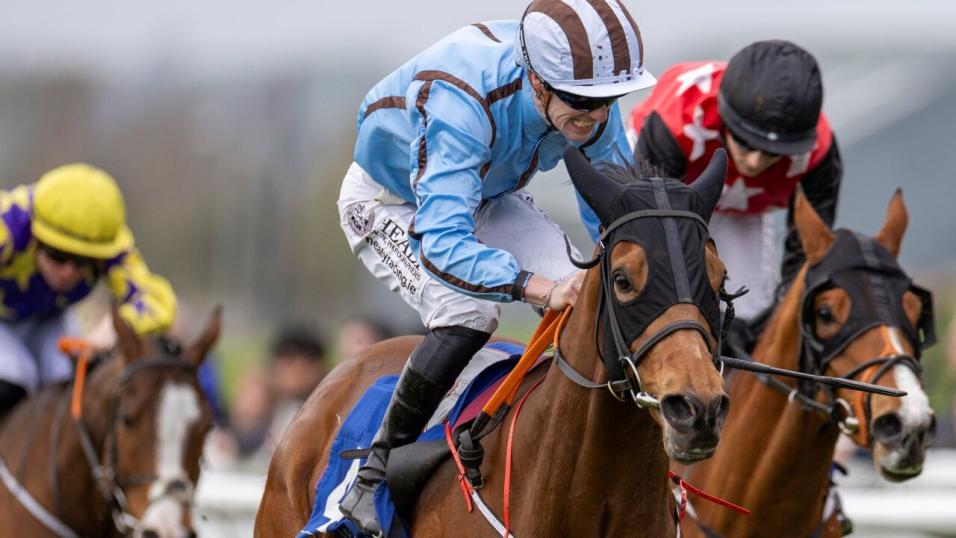 Alan Dudman Antepost Tips: Back two soft ground horses for Saturday's ...