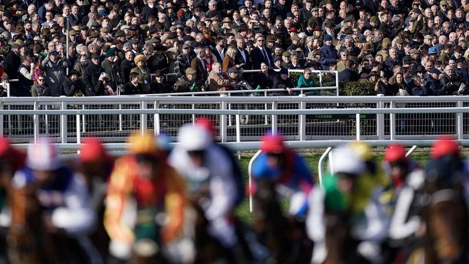 Alan Dudman's Antepost Tips: Le Patron hopes for Saturday and a 20/1 ...