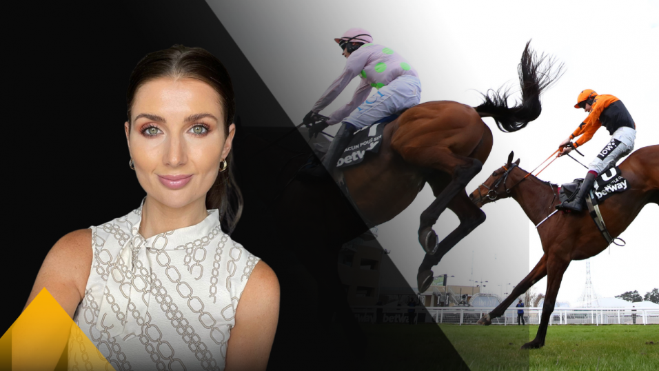 Ryanair Chase Tips: Kate Tracey is backing Fakir D'Oudairies to run ...