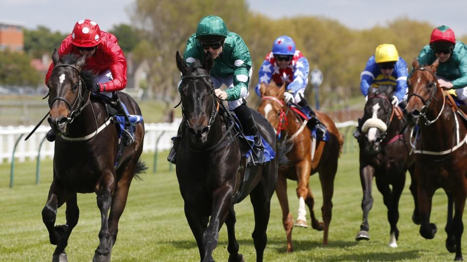 Bets Of The Day: Dark Defender can return to winning ways at Ripon