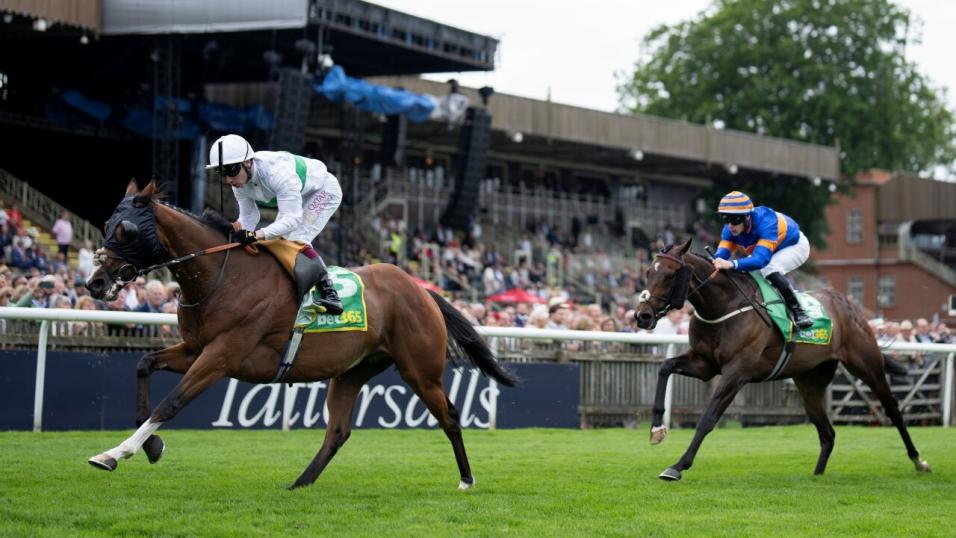 Alan Dudman's York Big Race Verdict on the Ebor Handicap