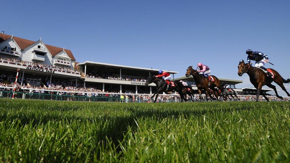 Haydock Racing Tips: Animate looks well treated