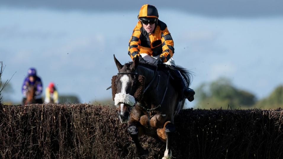 Alan Dudman Antepost Tips: Accord to lord it over rivals at Wincanton ...