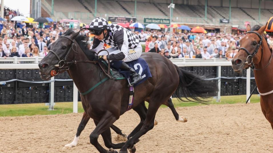 Horse Racing Tips: Go each way with Newcastle pair in 89/1 double