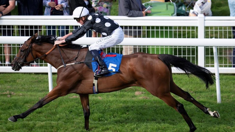 Alan Dudman's Big Race Verdict: Mistral at 5/1 looks a star bet for ...