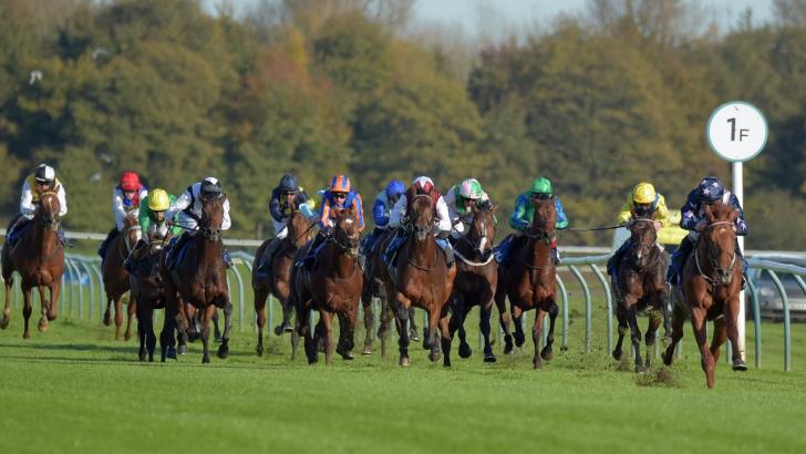 Betting Tips, Advice & Previews (Free Betting Tips) » Betfair™ Blog