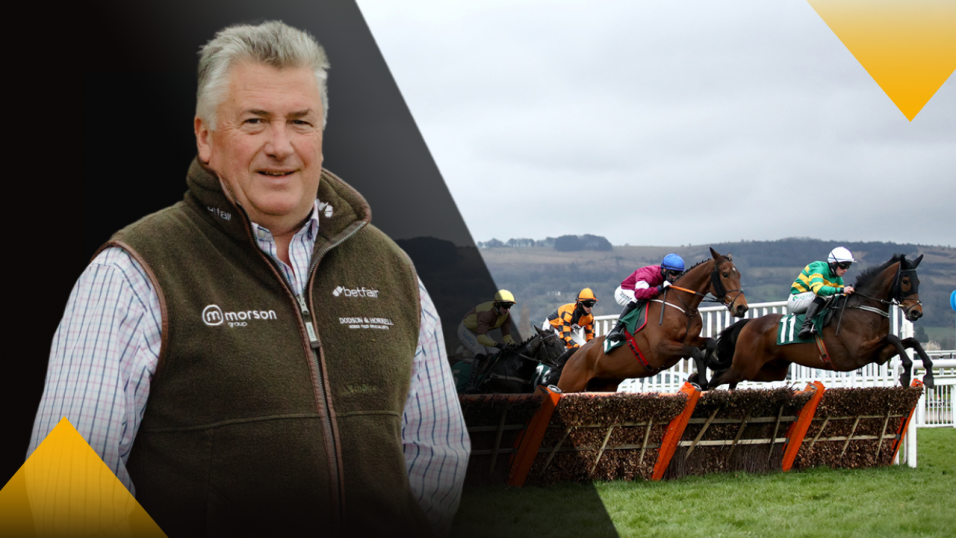 Paul Nicholls' Ditcheat Decs: Stage Star set for Turners at Cheltenham