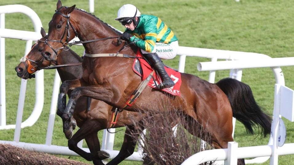 Punchestown Gold Cup Big Race Verdict: Spillane's has to be the answer ...