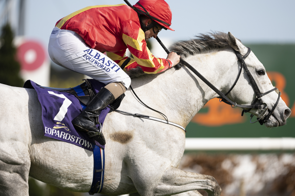 Road To The Epsom Derby: 33/1 could be long gone by the end of the week