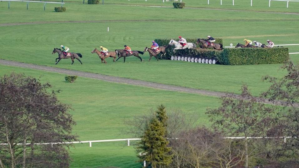 Cheltenham Gold Cup Runner-By-Runner Guide: Daryl Carter 1,2,3 ...