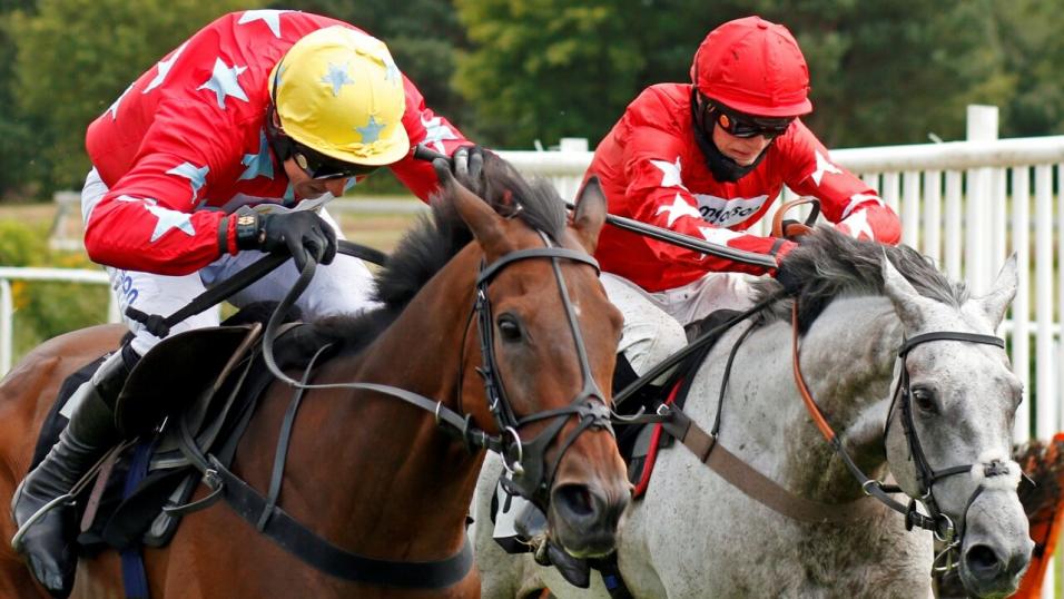 Boxing Day Horse Racing Tips: Back a rookie in Rasen feature for 14/1 ...