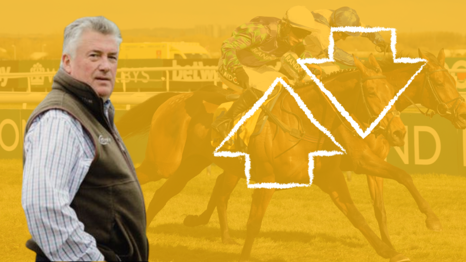 Paul Nicholls' Ditcheat Diary: Kandoo Kid's Aintree aim