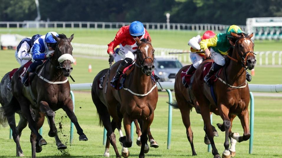 Horse Racing Tips: Yorkshire to triumph in Lancashire for Friday 76/1 ...