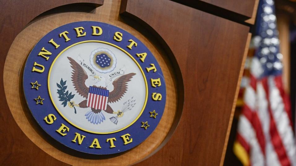 US Election Guide: Everything Americans are voting for on 5 November